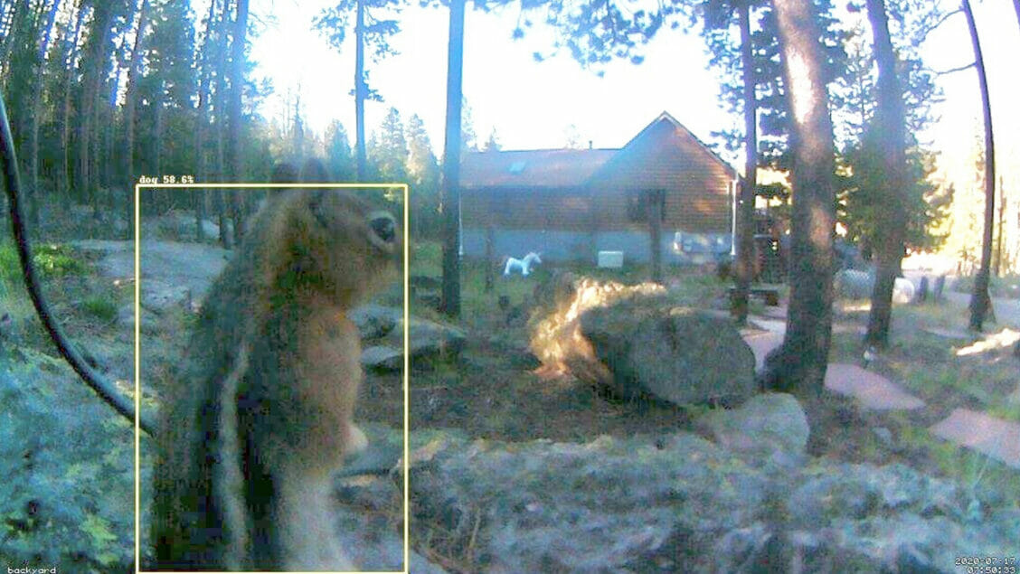 DIY Home Security Camera with Object Detection